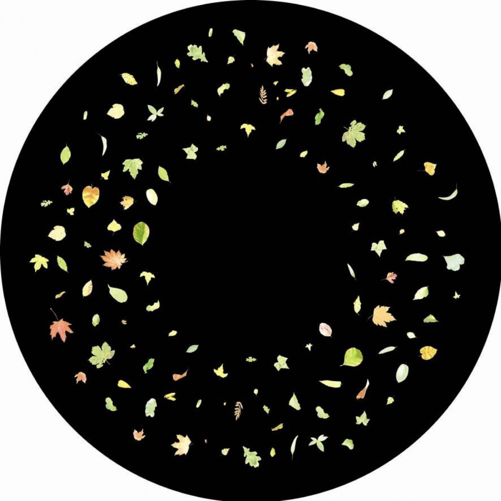 Projector 6" Effect Wheel - Wilkins International