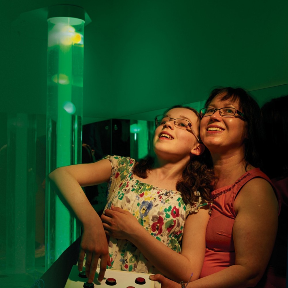 Interactive Bubble Tube & 8 Way Wireless Switch - Wilkins International